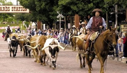 Deep South Texas and Louisiana - Nagel Tours